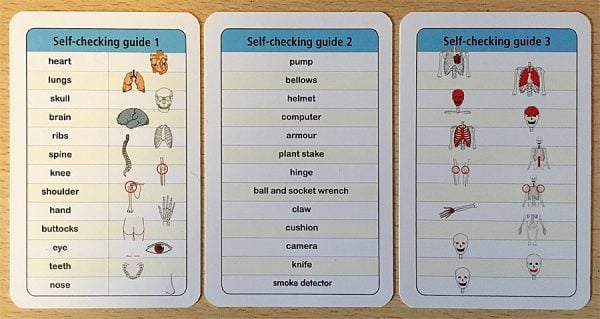 3 Human Biology Games to Teach Anatomy and More