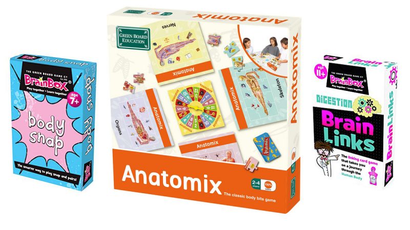 3 Human Biology Games to Teach Anatomy and More
