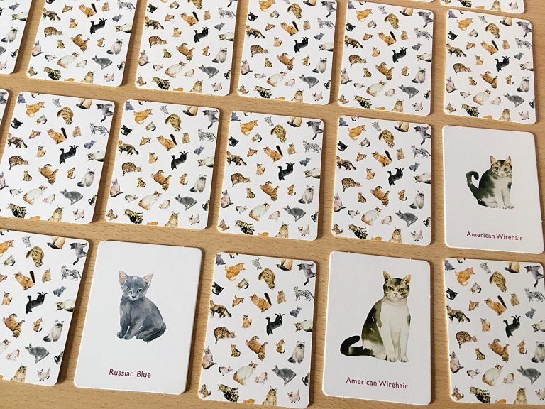 7 Cat-Themed Games for the Whole Family - GeekMom